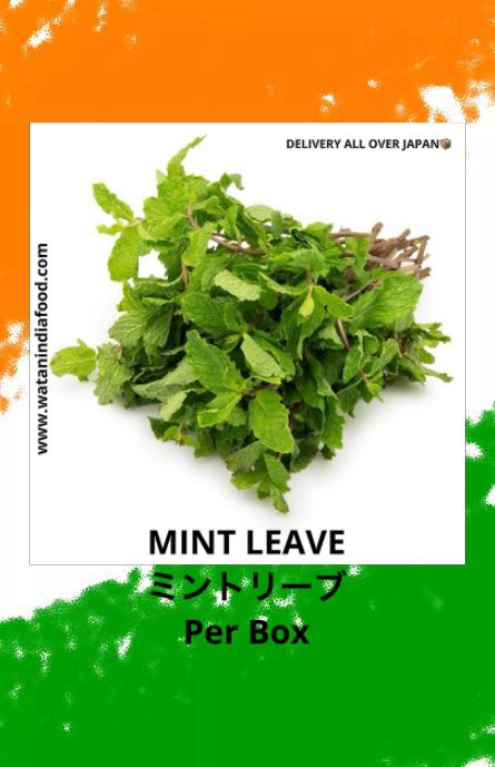 Fresh Indian Mint Leave (Pudina) Per Box – Watan India Foods & Spices
