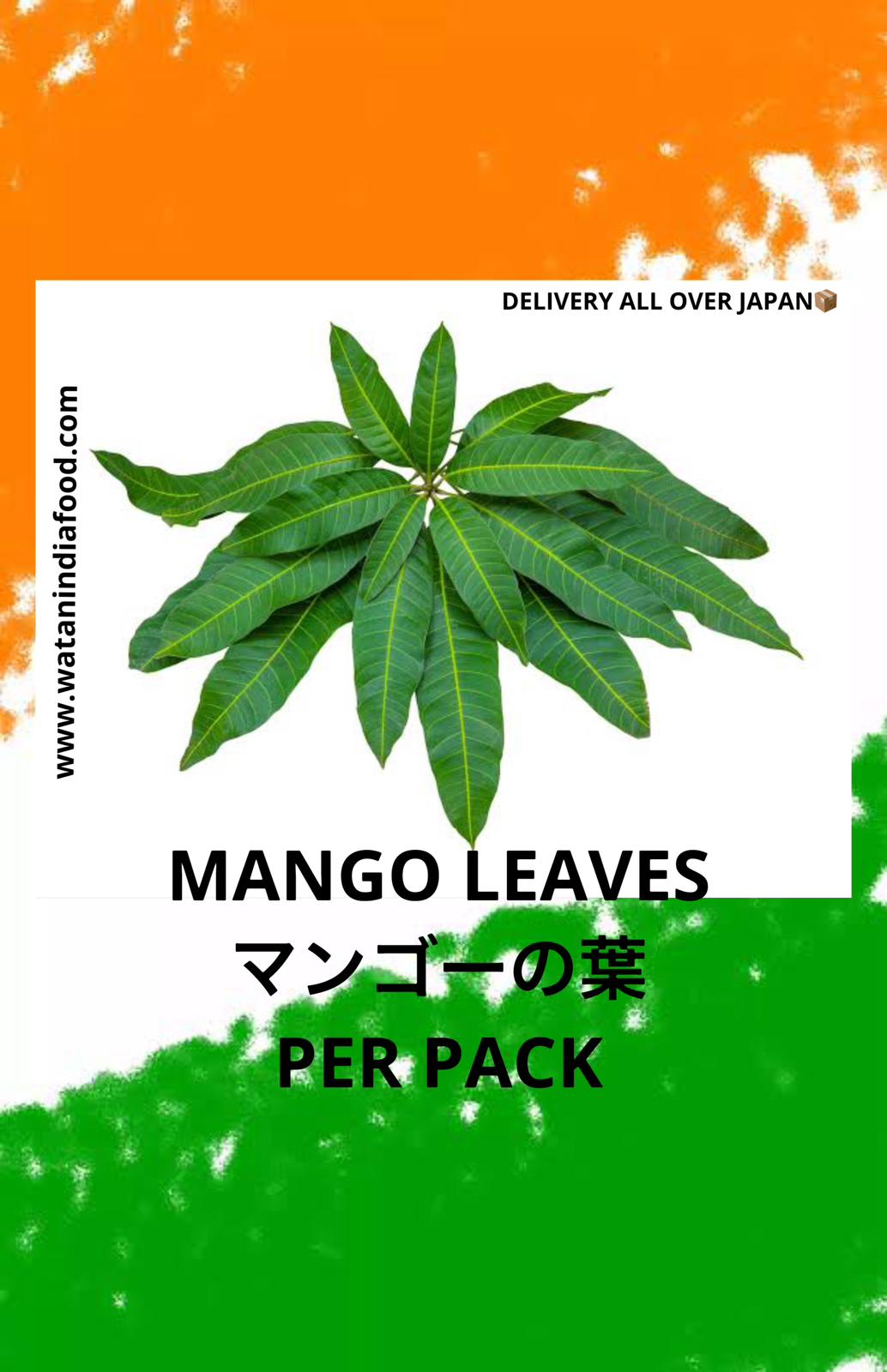 Fresh Indian Mango Leaves Per Pack – Watan India Foods & Spices